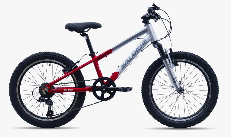 Avalanche Bikes • D'Ville Cyclery