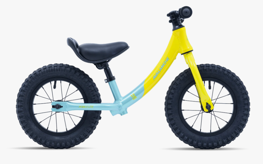 Avalanche Bikes • D'Ville Cyclery